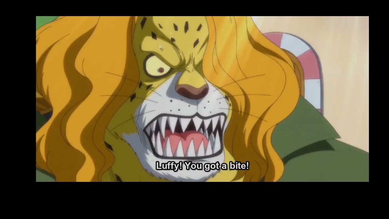 starved Luffy🤣🤣🤣 - YouTube