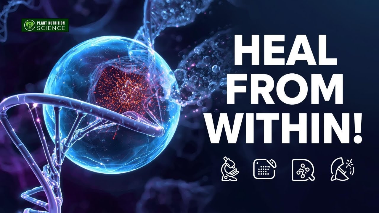 How Your Cells Detox & Repair Themselves According to Science | PNS ...
