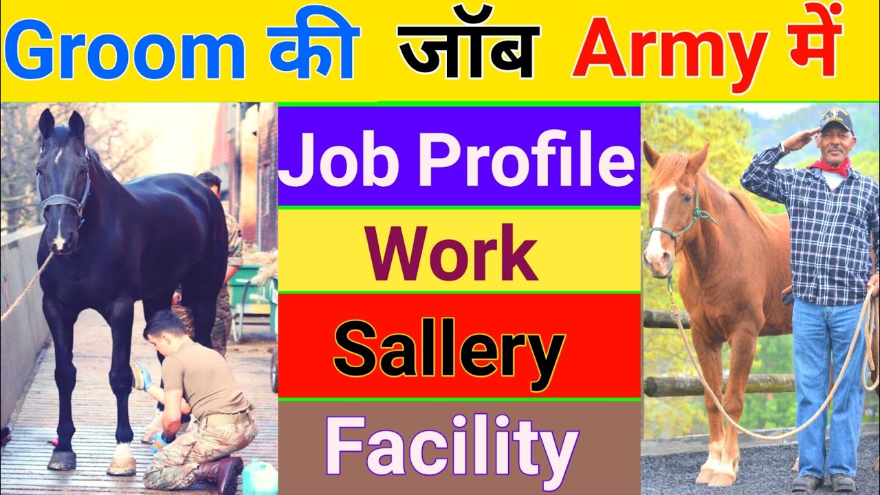 Groom ki Naukri Army Group C I Groom Job Profile I Groom ka kya kaam ...