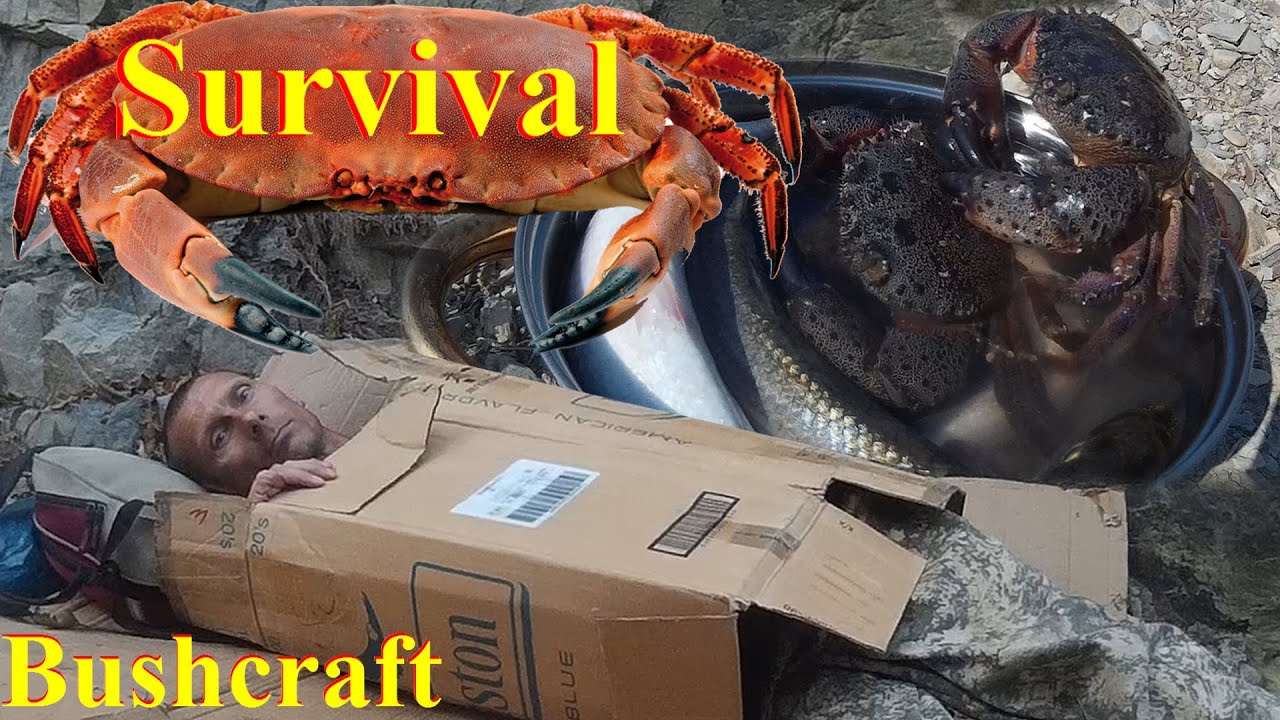 Survival without food and money! Sleepover on the beach in a box of ...