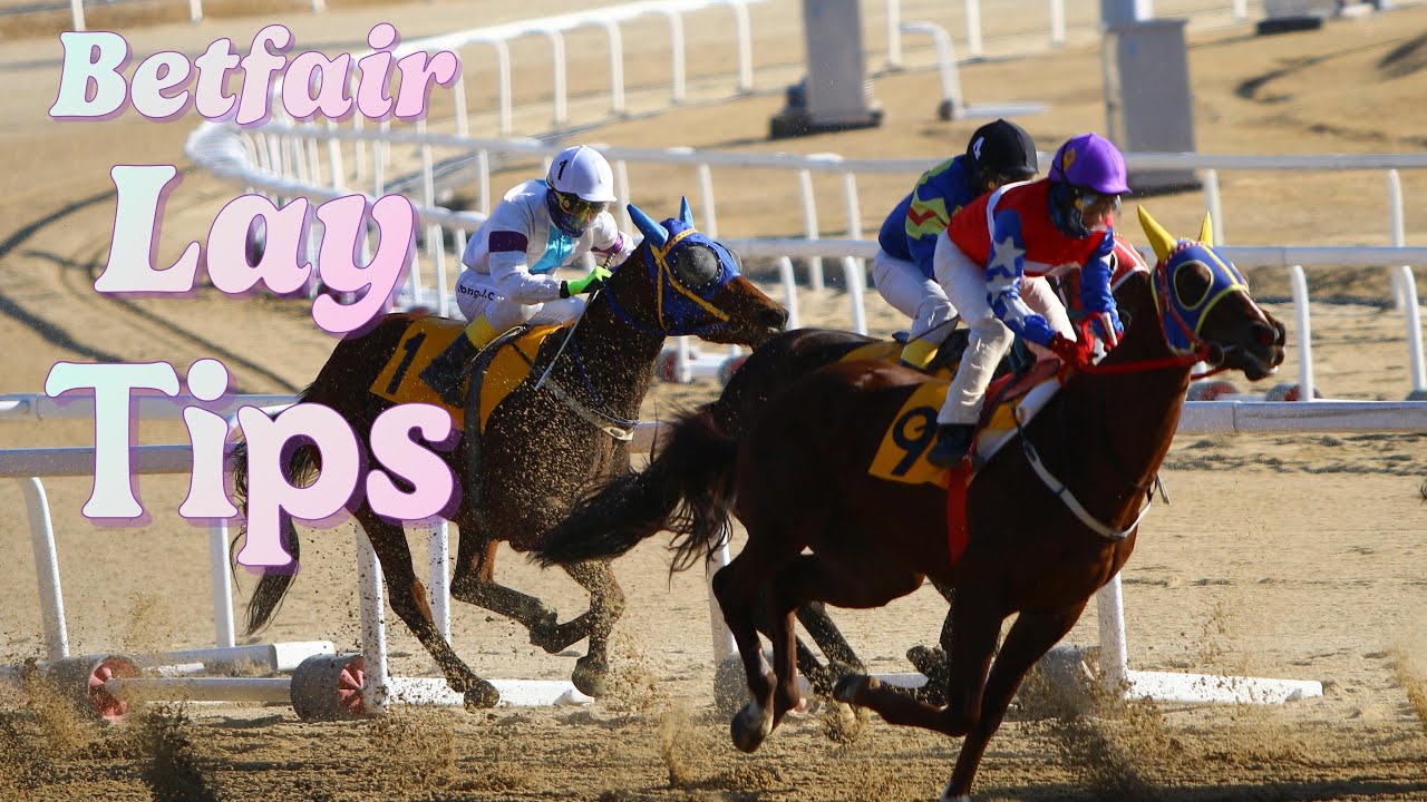 Betfair Horse Racing Tips to Lay. Horses to Bet Against. Today November ...