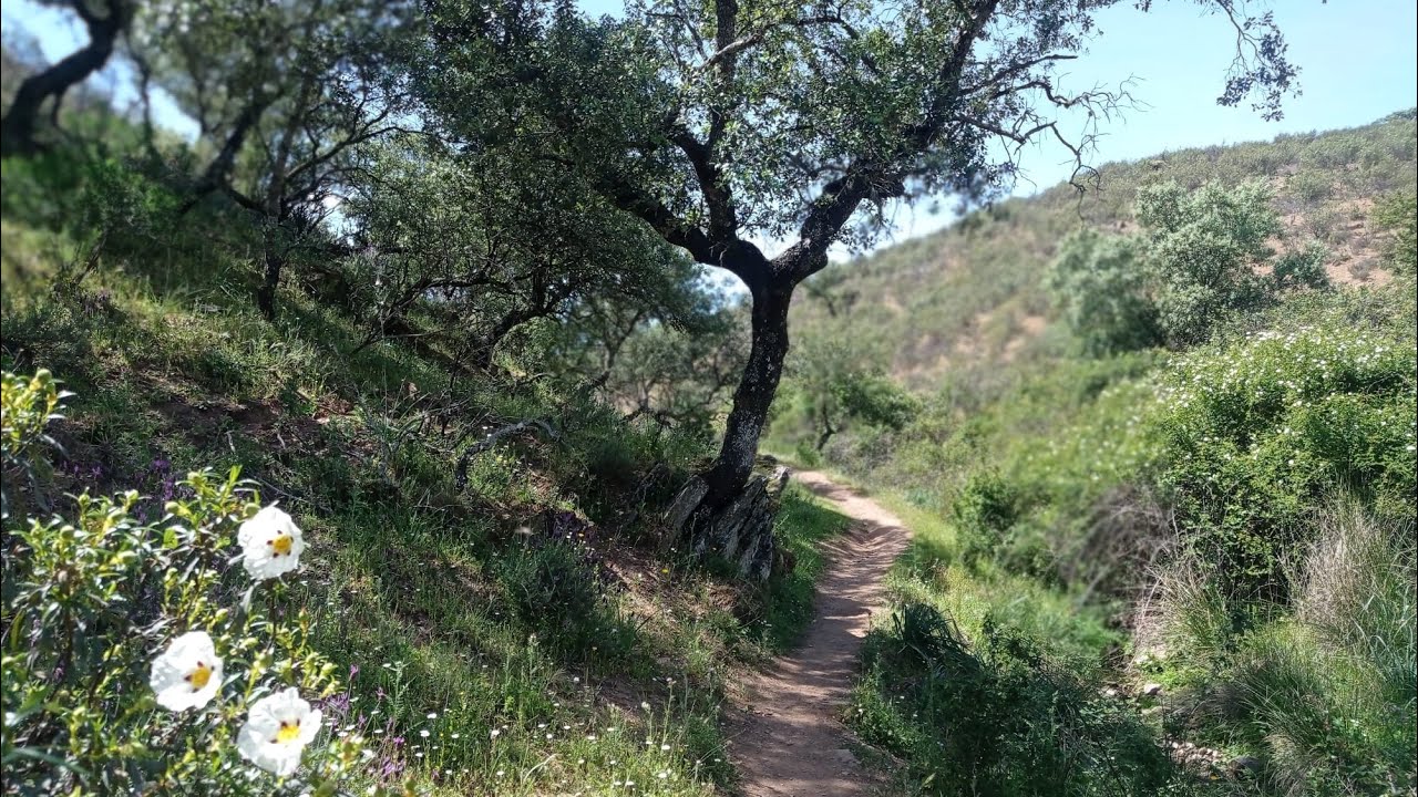 Ruta amarilla, PN Monfragüe, espectacular - YouTube