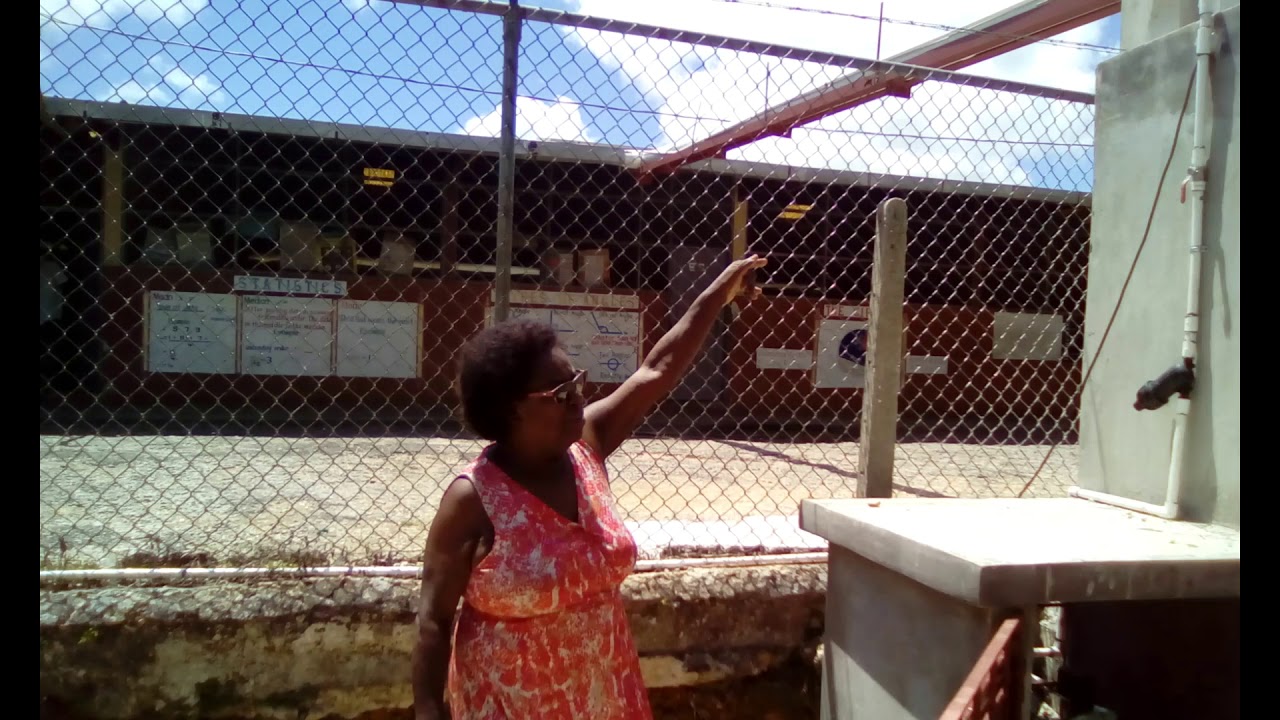 STEA Albert Town Primary Large - YouTube