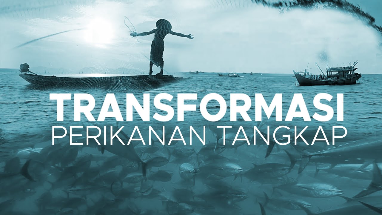 Transformasi Perikanan Tangkap - YouTube