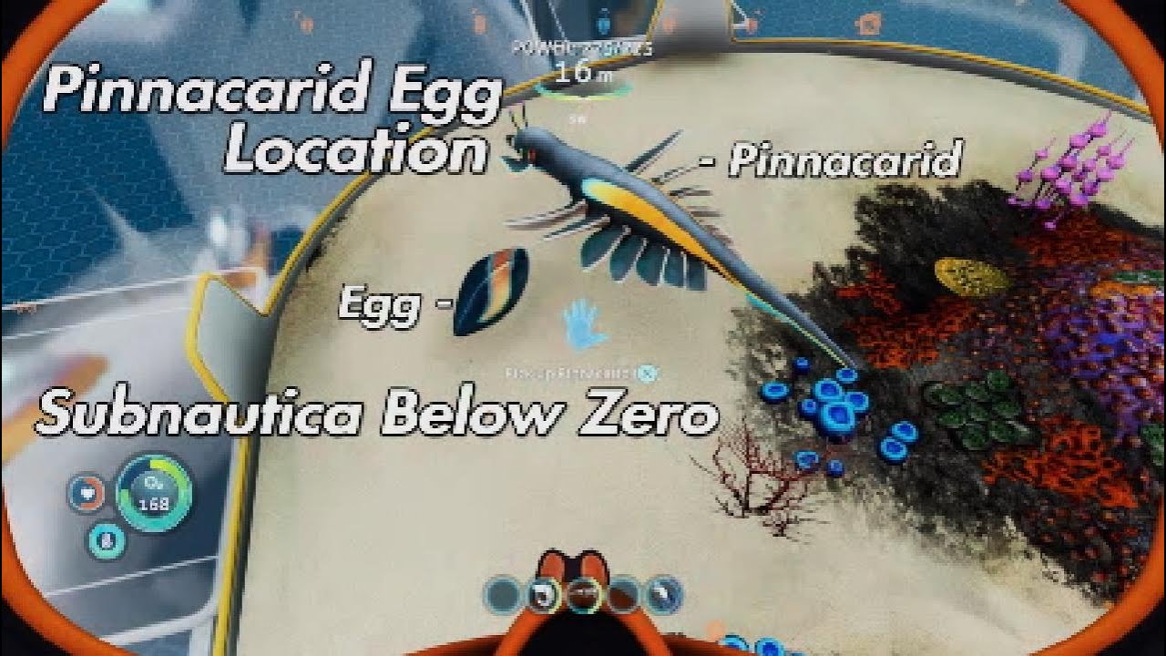 Subnautica Below Zero - Pinnacarid Egg Location - YouTube