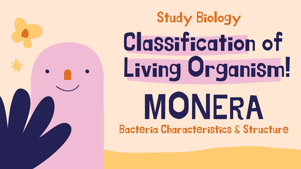 Monera - Bacteria Characteristics & Structure - Classification of ...