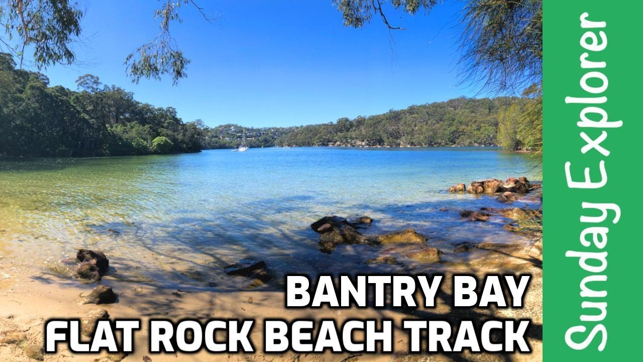 FLAT ROCK BEACH TRACK, Bantry Bay, Sydney Northern Beaches - YouTube