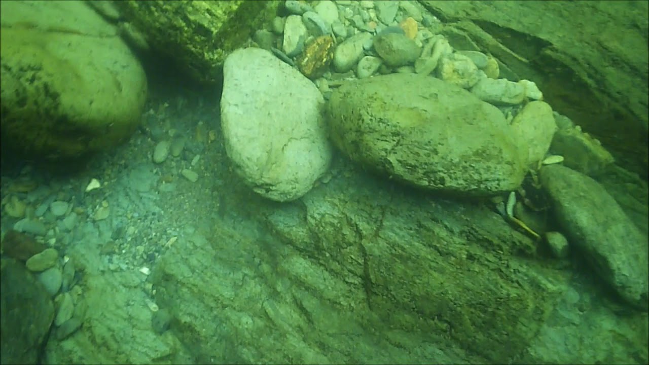 gold Prospecting sniping for gold - YouTube