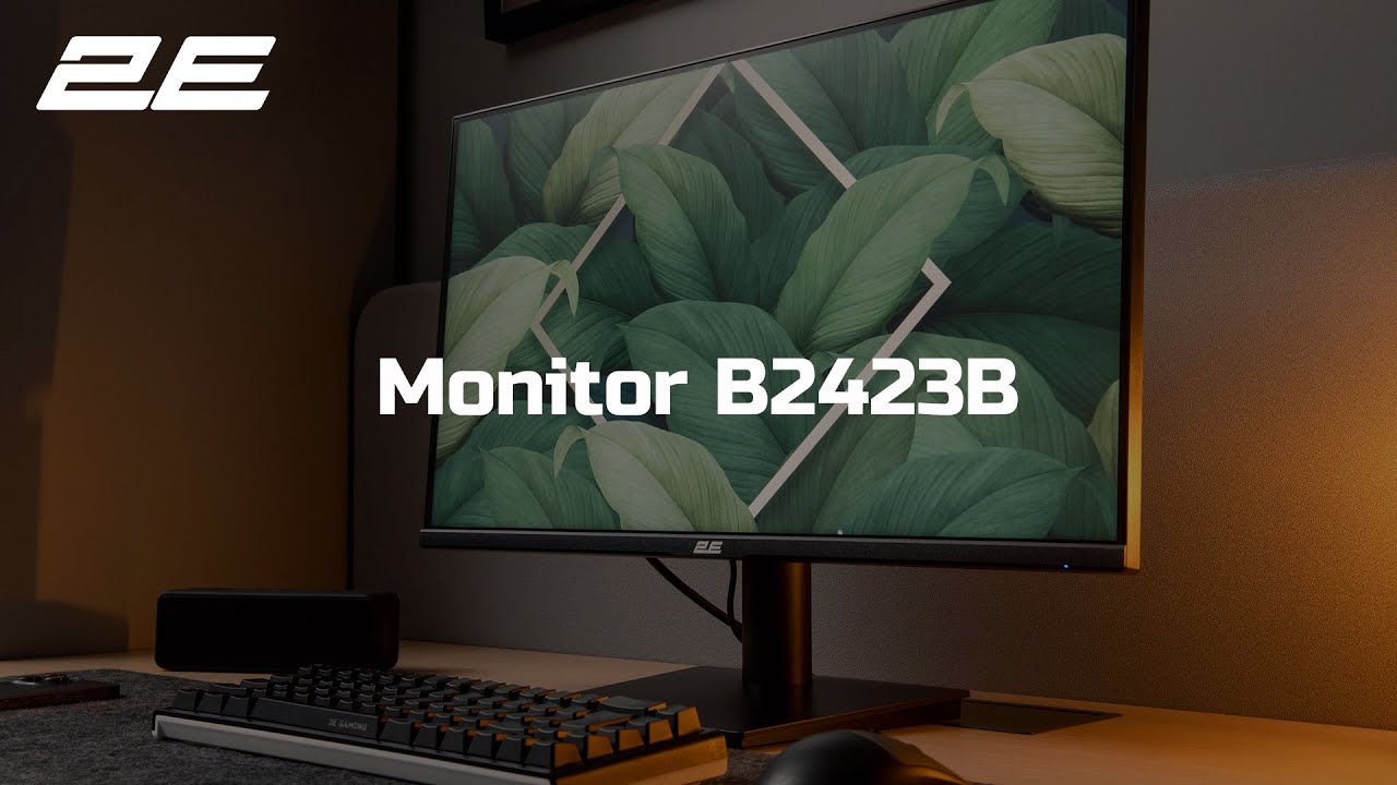 2E Monitor B2423B - YouTube