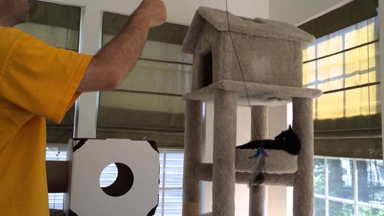 Bird Catcher Pro EX by Pets Can Play product review, video - YouTube