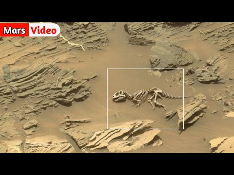Latest New footage | Every Rock Tells new Story | NASA's Mars Through ...