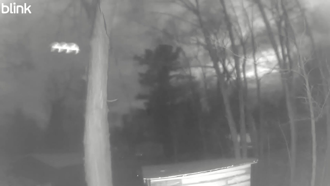 1/8 speed cam 2 rod with detail raw footage of skyfish or rods in the ...