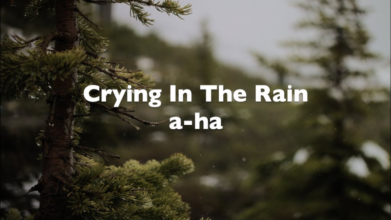 Crying in the Rain - a-ha | Lyrics | 1990 - YouTube