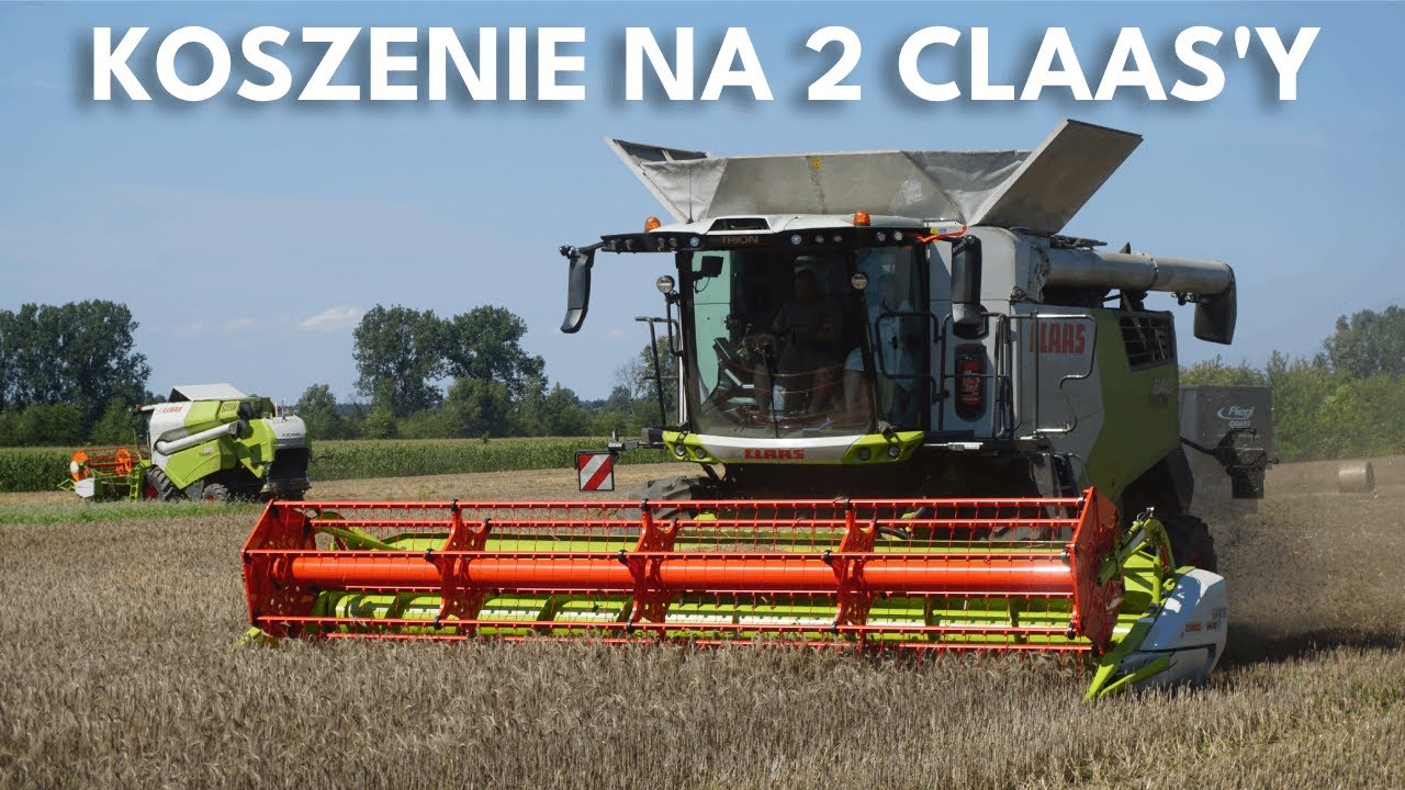 🔥KOSZENIE NA 2 CLAAS'Y🔥 Zakończenie żniw 2023 w GR Błachnio | Trion 640 ...
