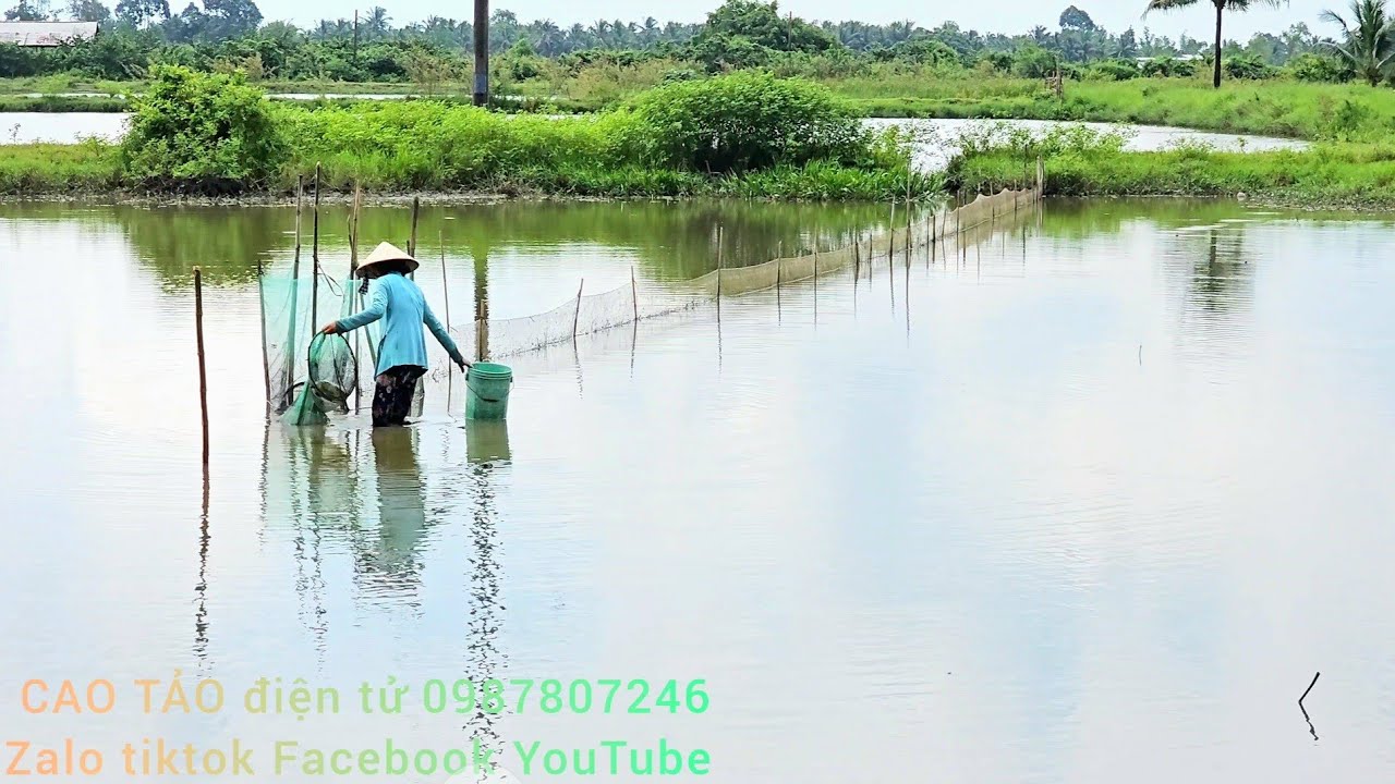 0987807246. quay video 4k 30fps Samsung S23 ultra . đi sửa tivi 21 inch ...