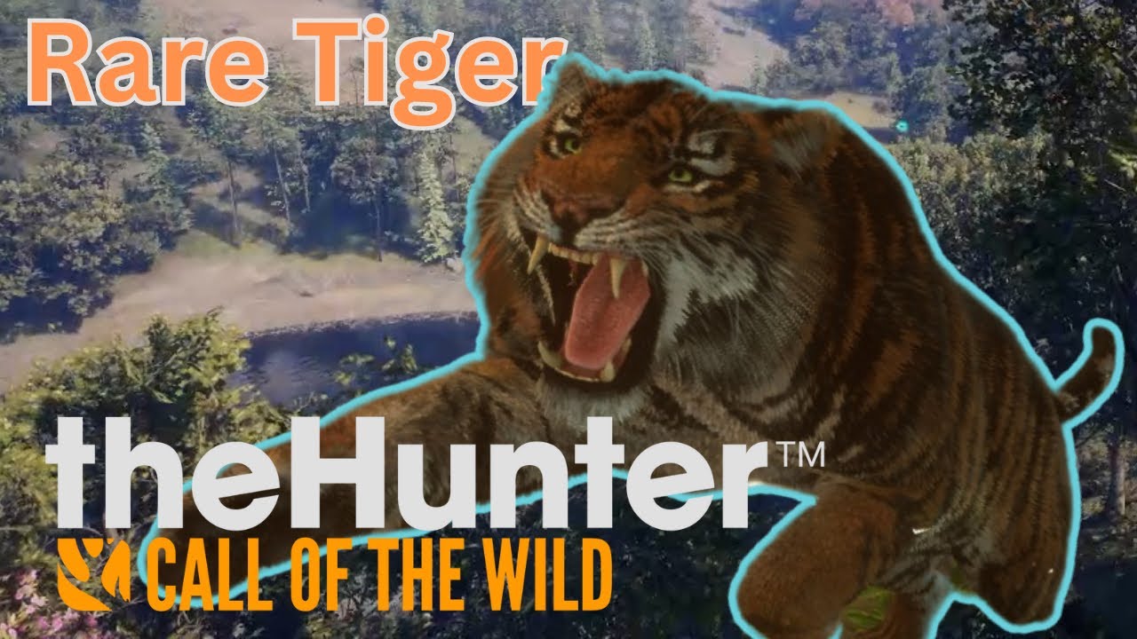 Best Way To Grind to Get a RARE Bengal Tiger! Sundarpatan Call of the ...