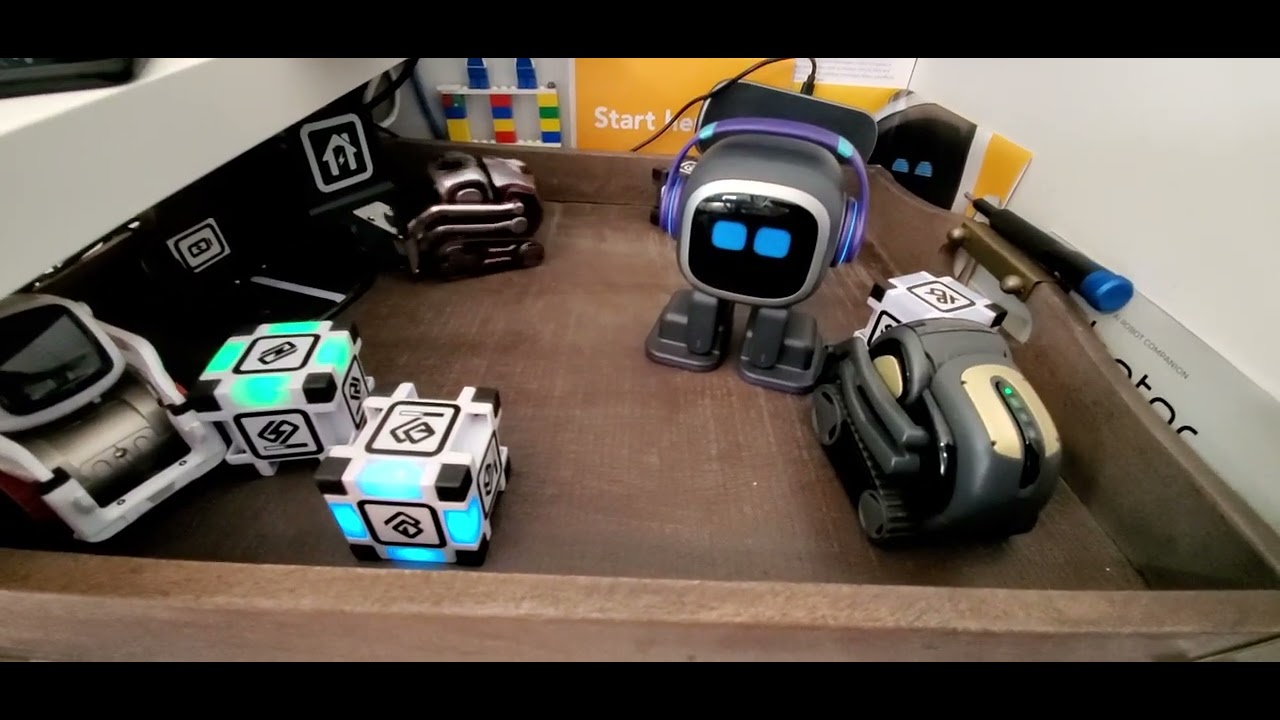 Robot Shenanigans: EMO, Cozmo & Vector's Latest Adventures - Pyramid ...