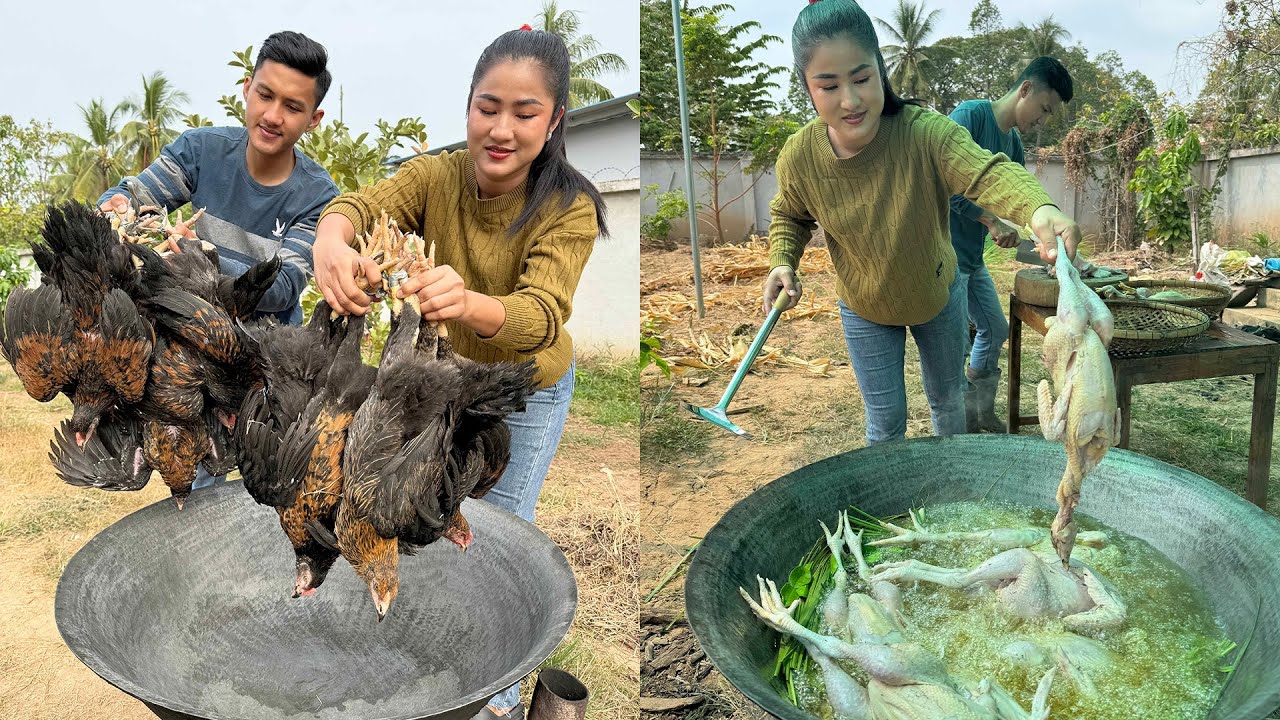 Native chickens cooking - Country Brother and sister cooking - Cooking ...