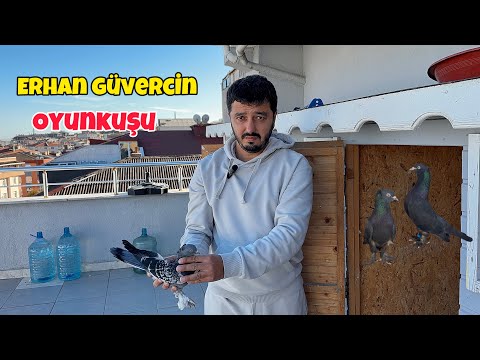 Harika Kuşlar Çok Güzel Kümesler 🕊️ Erhan Güvercin Kümes Ziyareti 💯
