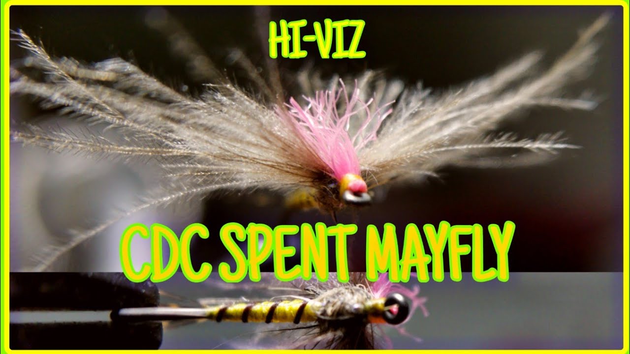 CDC Spent Mayfly - YouTube