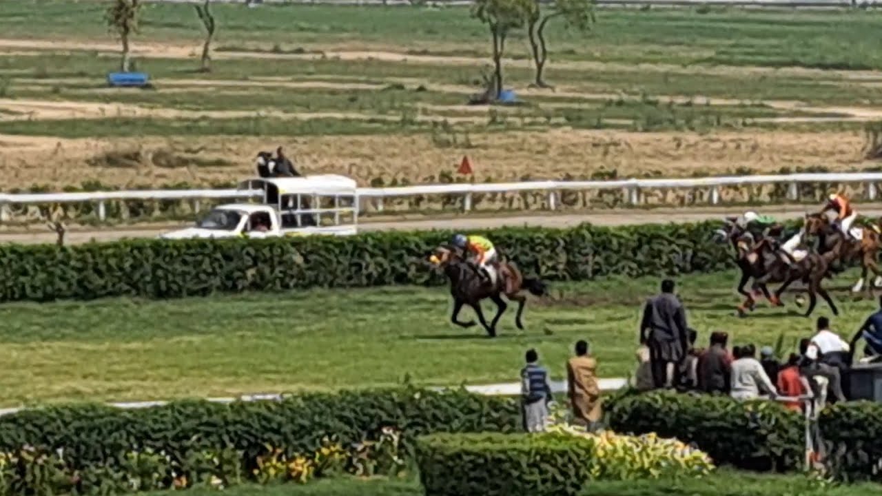 1st Race 1000 Meter Winner Chota Pathan | Ridden By Shehzad Bhatti ...