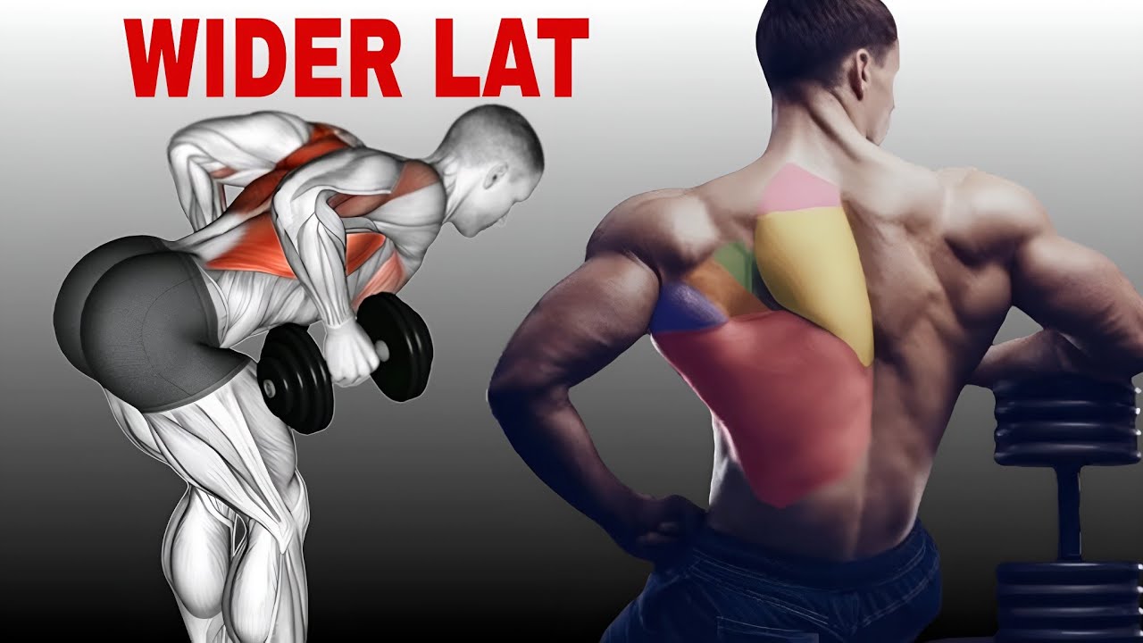 9 of the Best back exercises for wider back at gym - YouTube