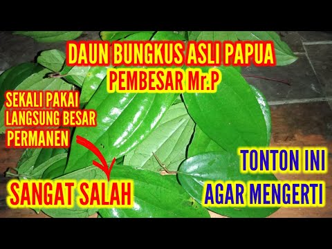 kesalah Pahaman Tentang Cara Kerja Daun Bungkus/Daun 3 Jari Asli Papua
