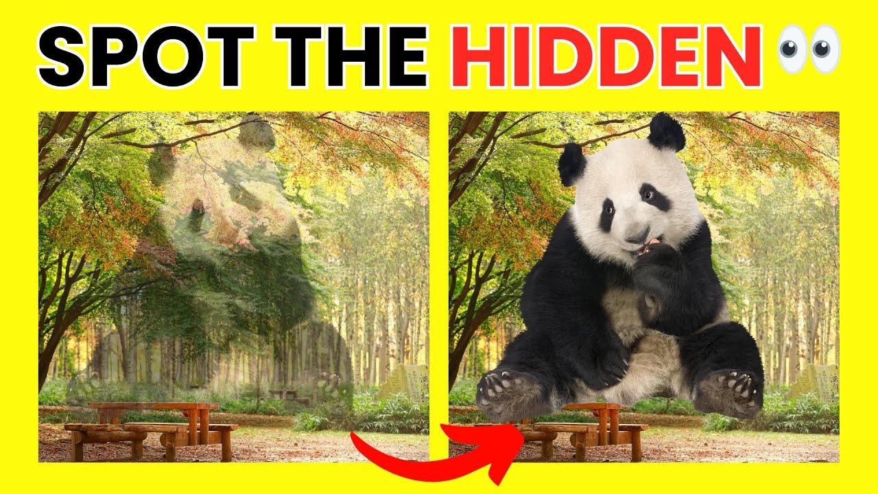 Guess The Hidden Number, Word, Animal By Optical Illusion! | Hidden ...