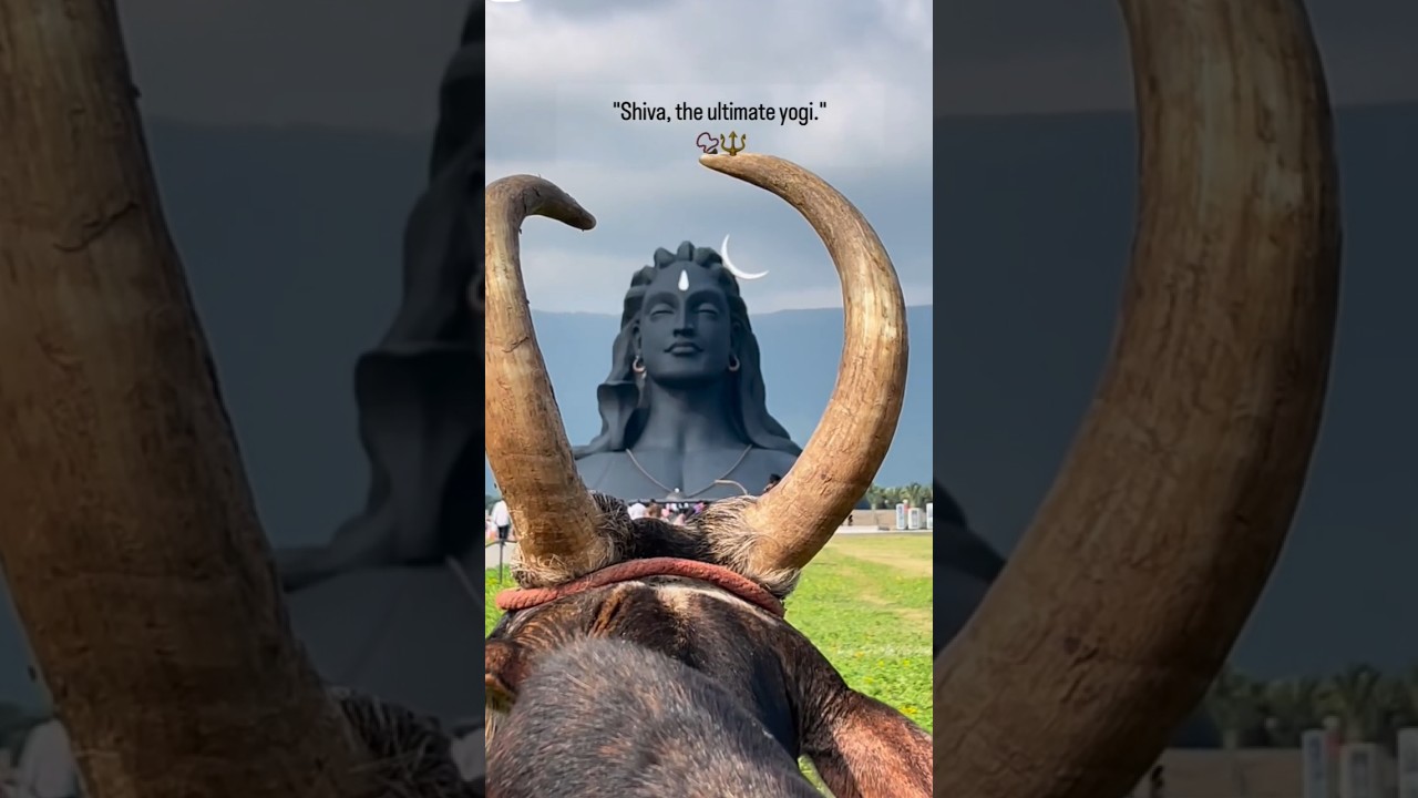 shiva the ultimate Yogi🛕🕉️||har har mahadev🙏#hindu#sanatandharma#power# ...