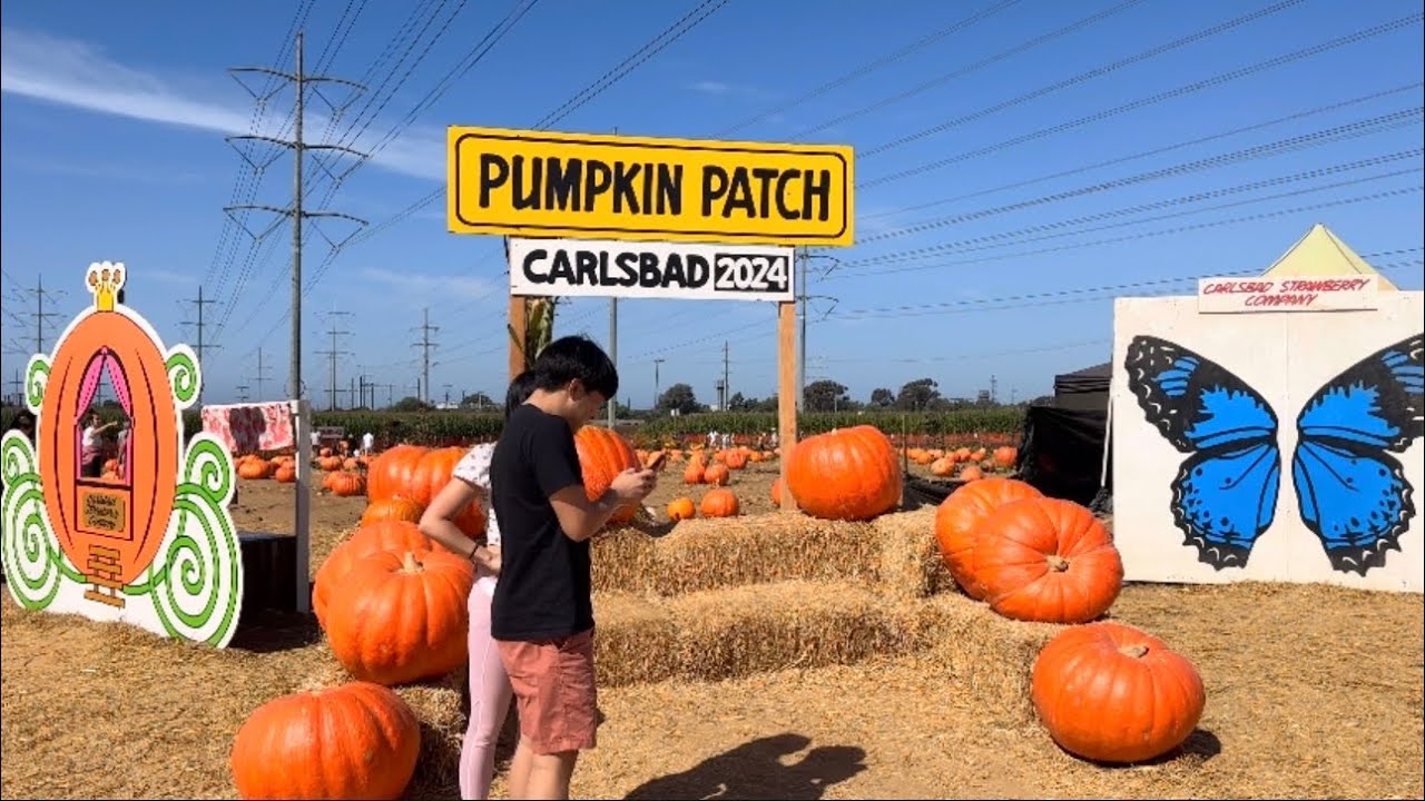 CARLSBAD PUMPKIN PATCH 2024 | CALIFORNIA 🇺🇸 - YouTube