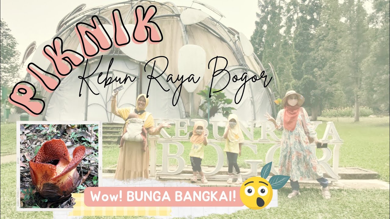 Piknik di Kebun Raya Bogor 🌳 Super Aesthetic + Bonus Lihat Bunga ...