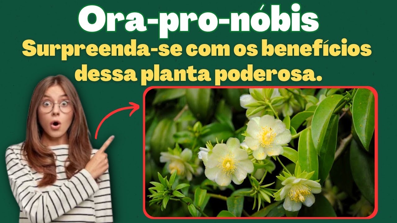Ora-pro-nóbis: Para que serve? Descubra os benefícios dessa planta para ...