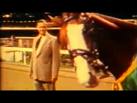 Harness Racing,Harold Park-30/09/1977 Grand Circut Champion (Paleface ...