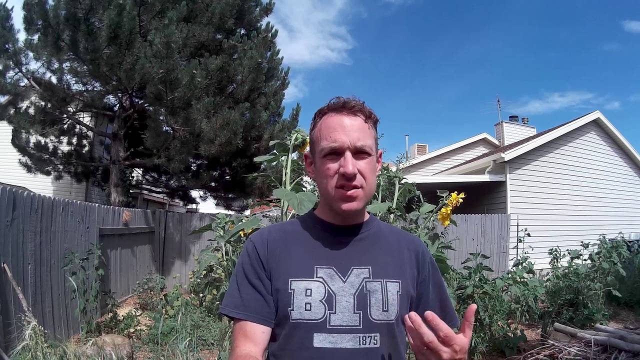 Pictek Waterproof Sports Action Camera Unboxing and review (1080P HD ...