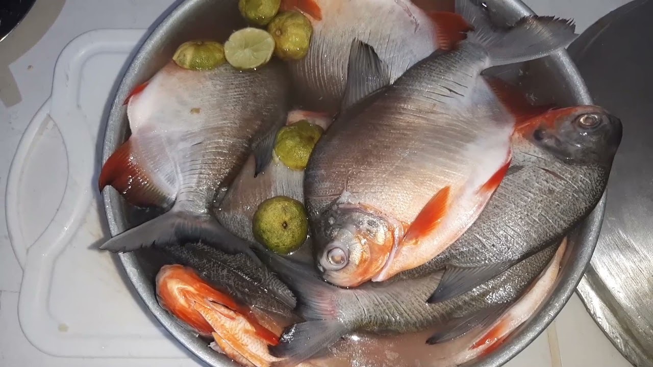 CACHAMA SUDADA PLATO TIPICO COLOMBIANO - YouTube