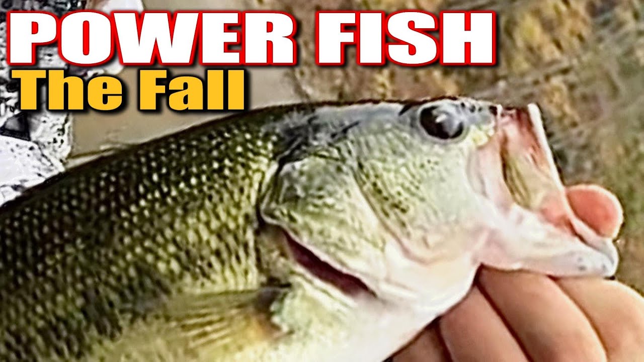 The BEST Way to Catch Fall Turnover Fish Without Wasting Time! - YouTube