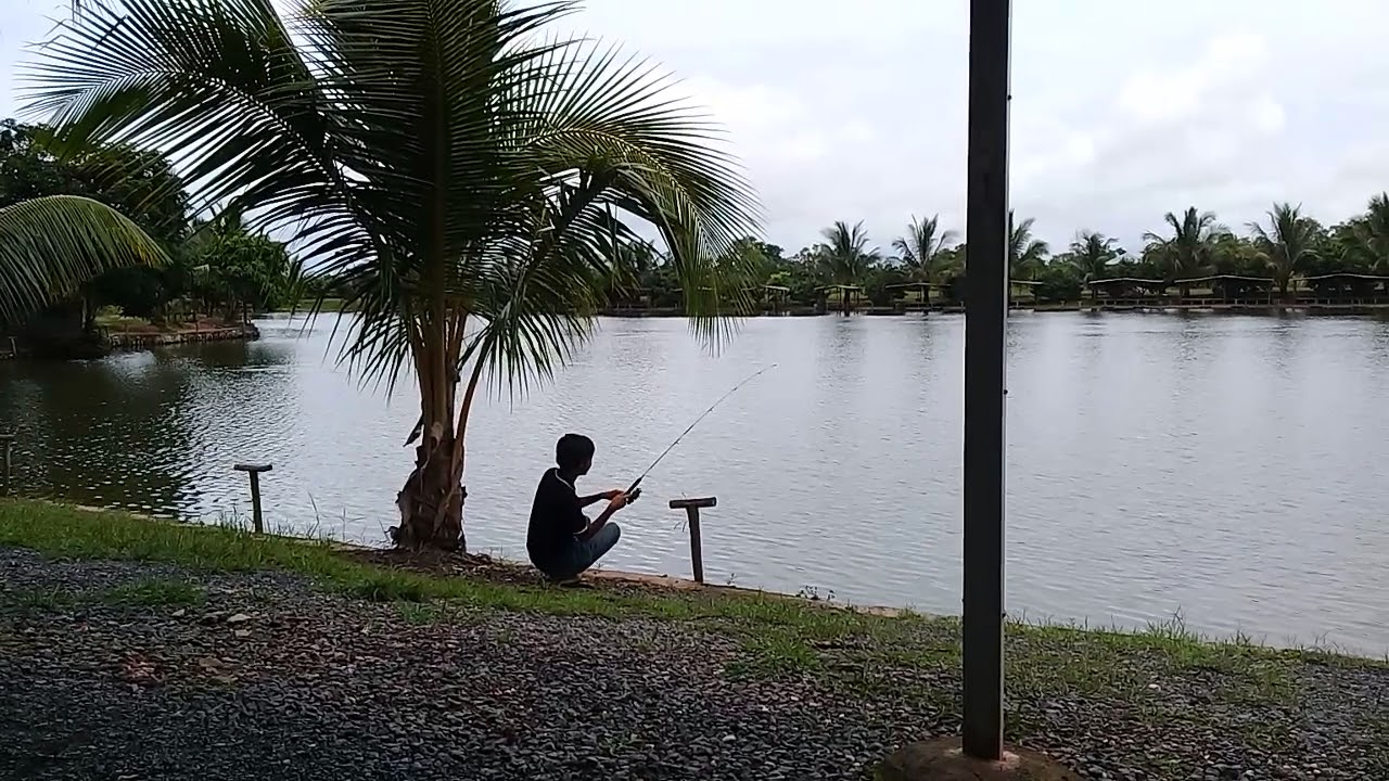 Mancing mania www.kalimantan selatan.coom - YouTube