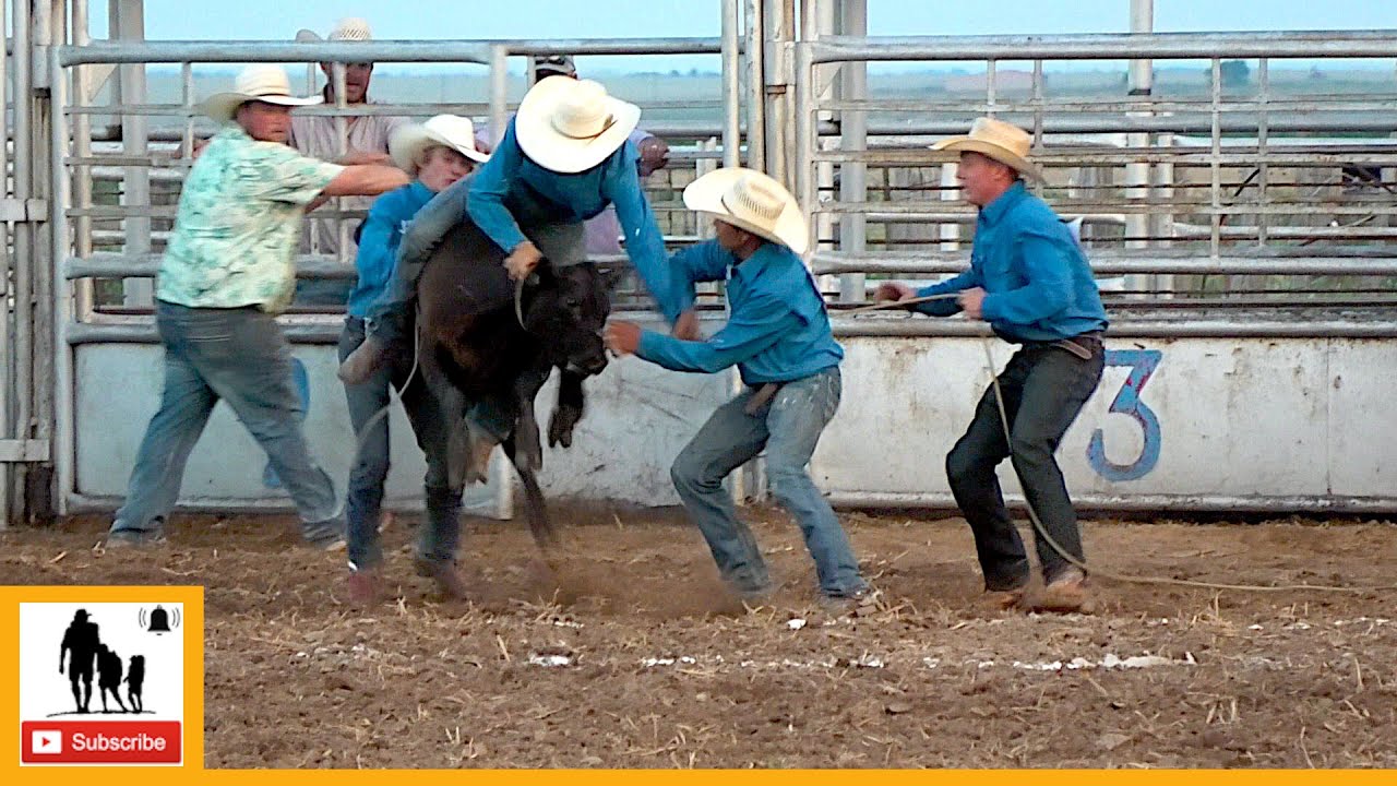 Wild Steer Racing - 2023 Caprock Roundup Celebration Youth Rodeo ...