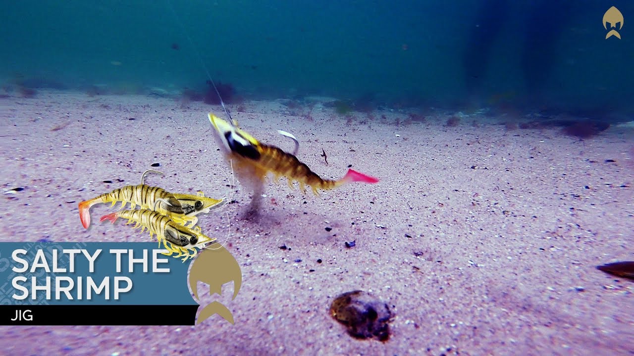 Salty the Shrimp Jig - Westin-Fishing - YouTube