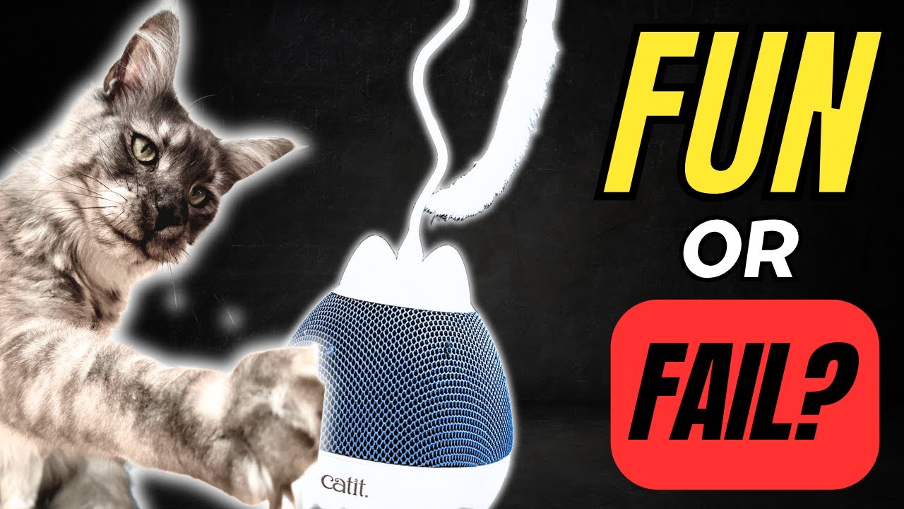 Catit PIXI Spinner: FUN or FAIL? | SMART Interactive Cat Toy Review ...