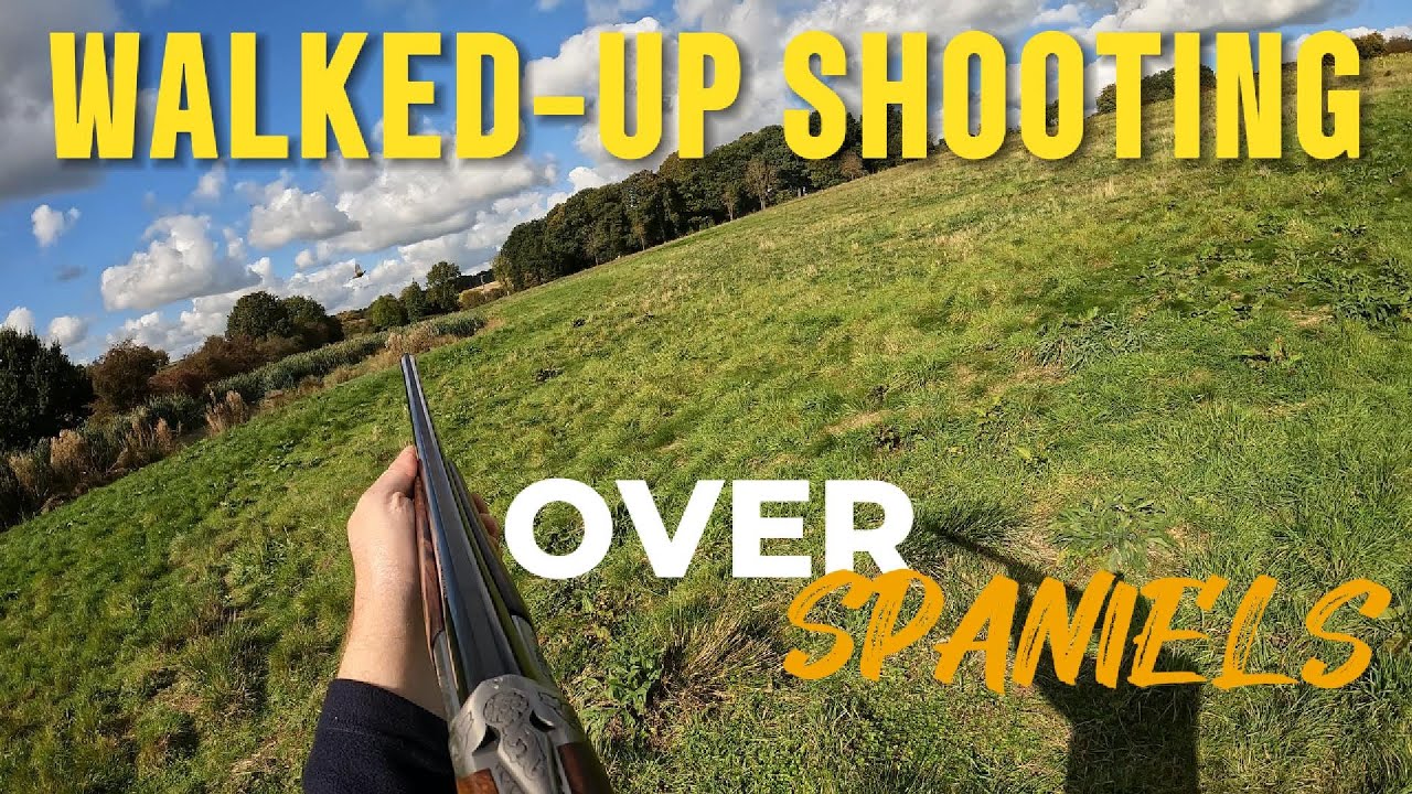 WALKED-UP SHOOTING OVER SPANIELS - YouTube