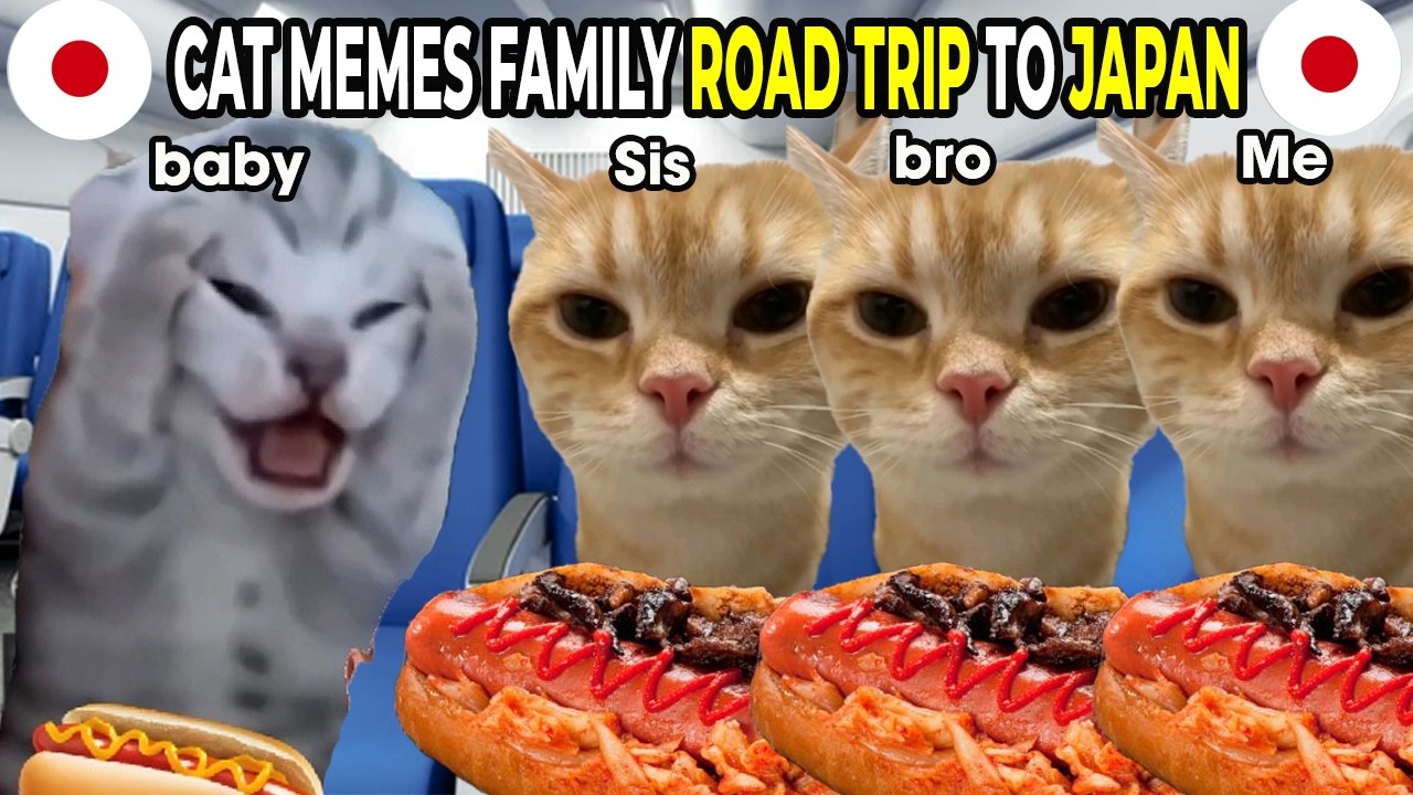 CAT MEMES FAMILY ROAD TRIP TO JAPAN - YouTube