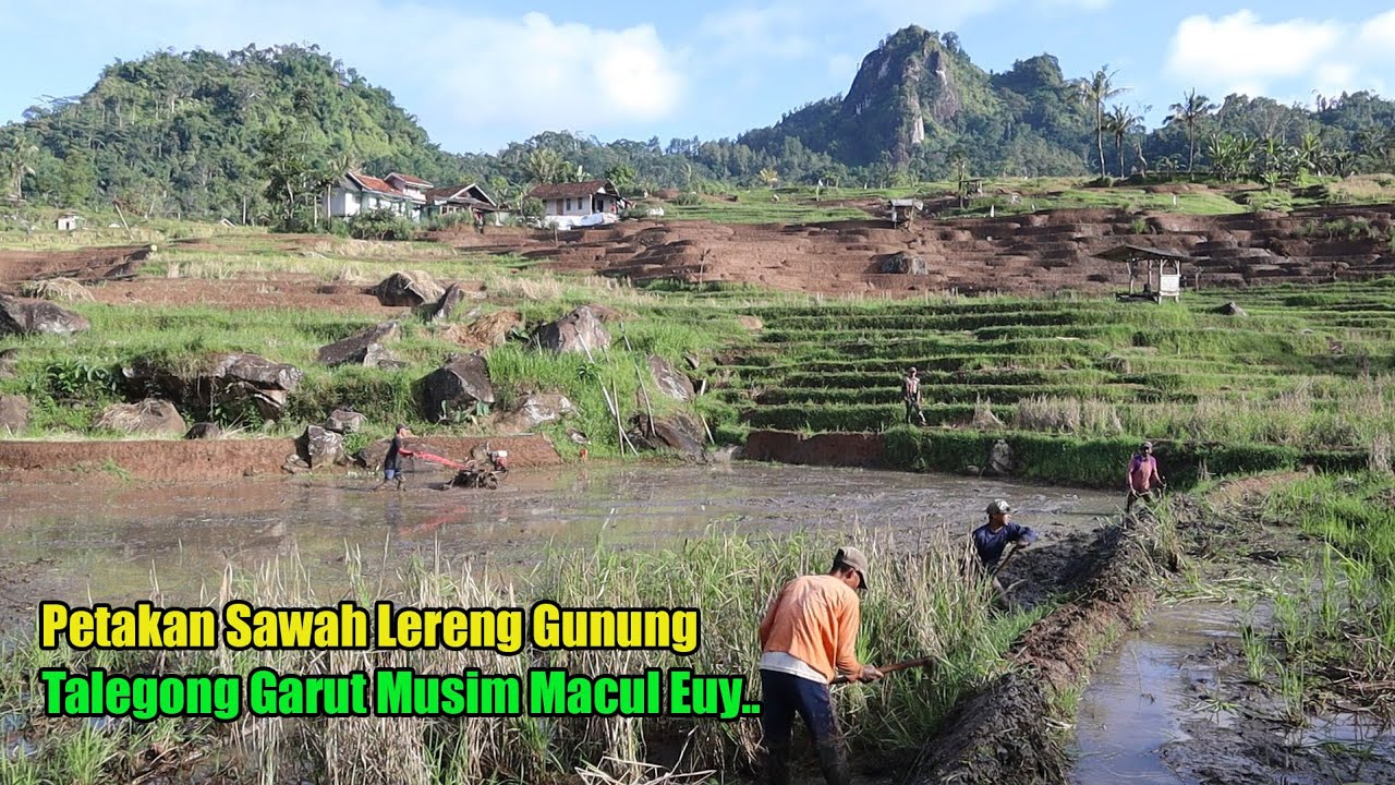 Terpesona...Aku Terpesona Oleh Keindahan Sawah Lereng Bukit Talegong ...