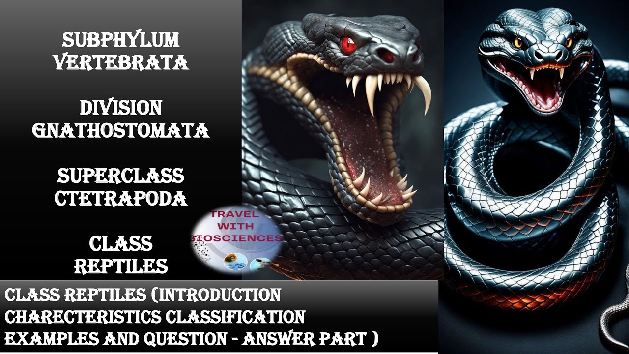 "Class Reptilia MCQs: Test Your Knowledge on Reptiles | Biology Quiz ...
