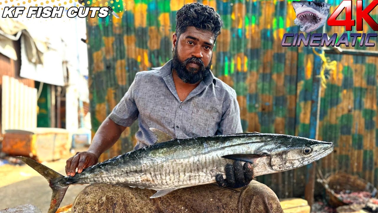 7.5 KG VANJIRAM FISH SLICES🔪KASIMEDU BEST FISH CUTTER🔪KF FISH CUTS ...
