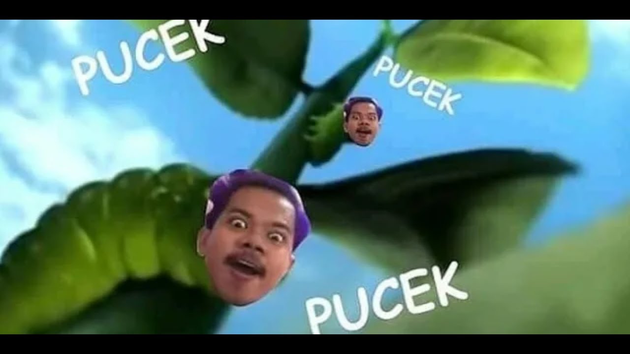 Teh fucek harum Meme iklan ||Danish meme - YouTube