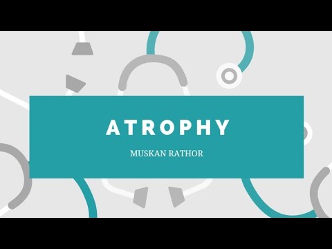 Atrophy | Cell injury & cellular adaptations | General pathology | The ...