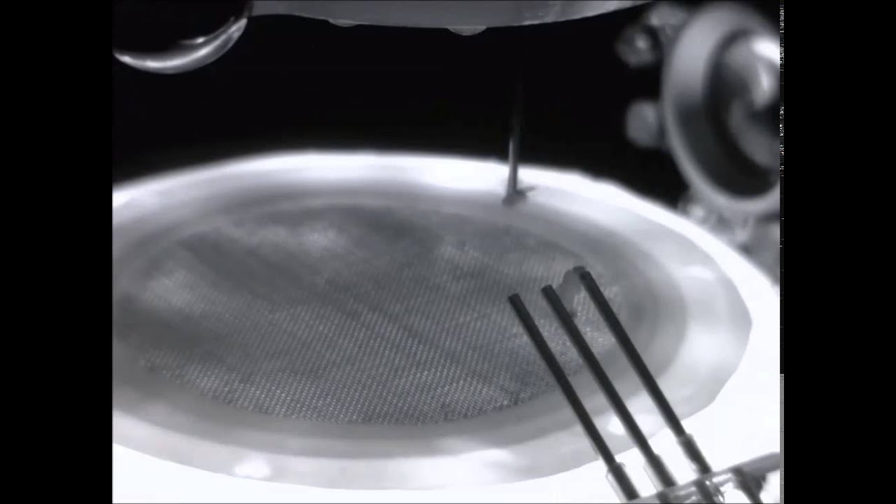 Fly-catching robot developed by Stanford scientists - YouTube