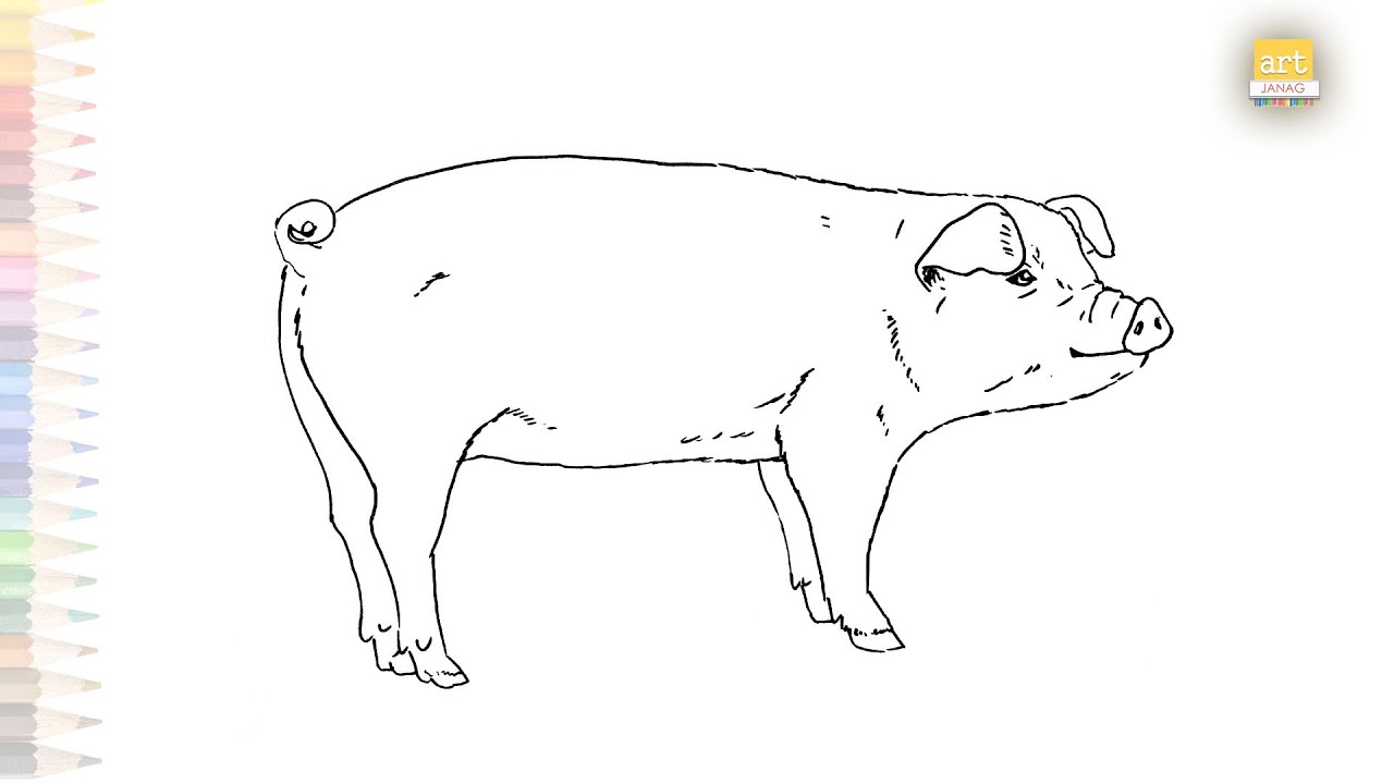 Adult Pig drawing video | Cute pig drawing | How to draw Adult Pig step ...