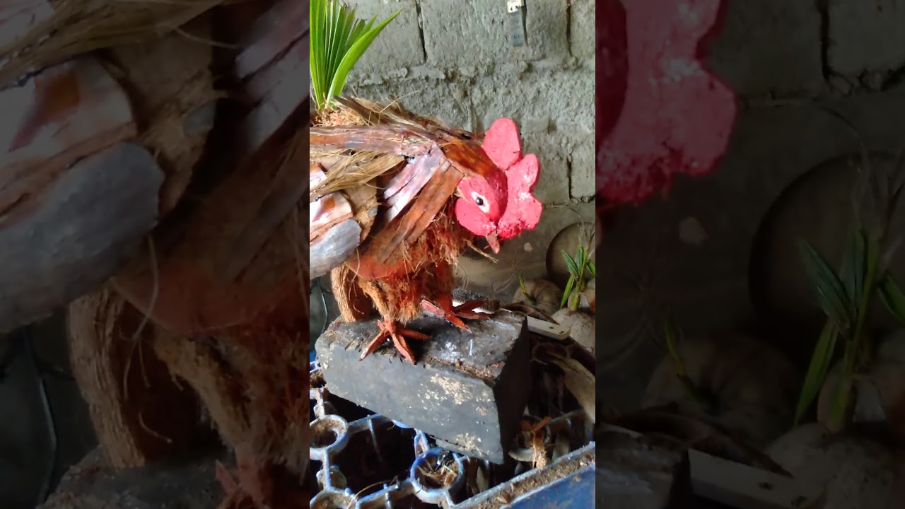 Coconut bonsai chicken inspired - YouTube